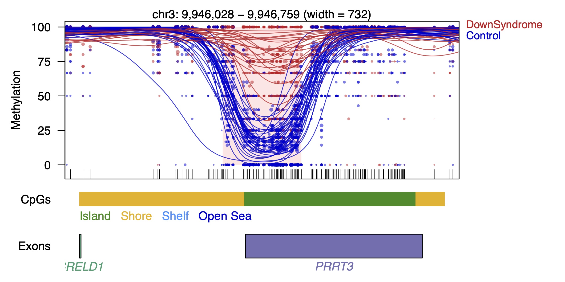 Introduction to DMRichR • DMRichR